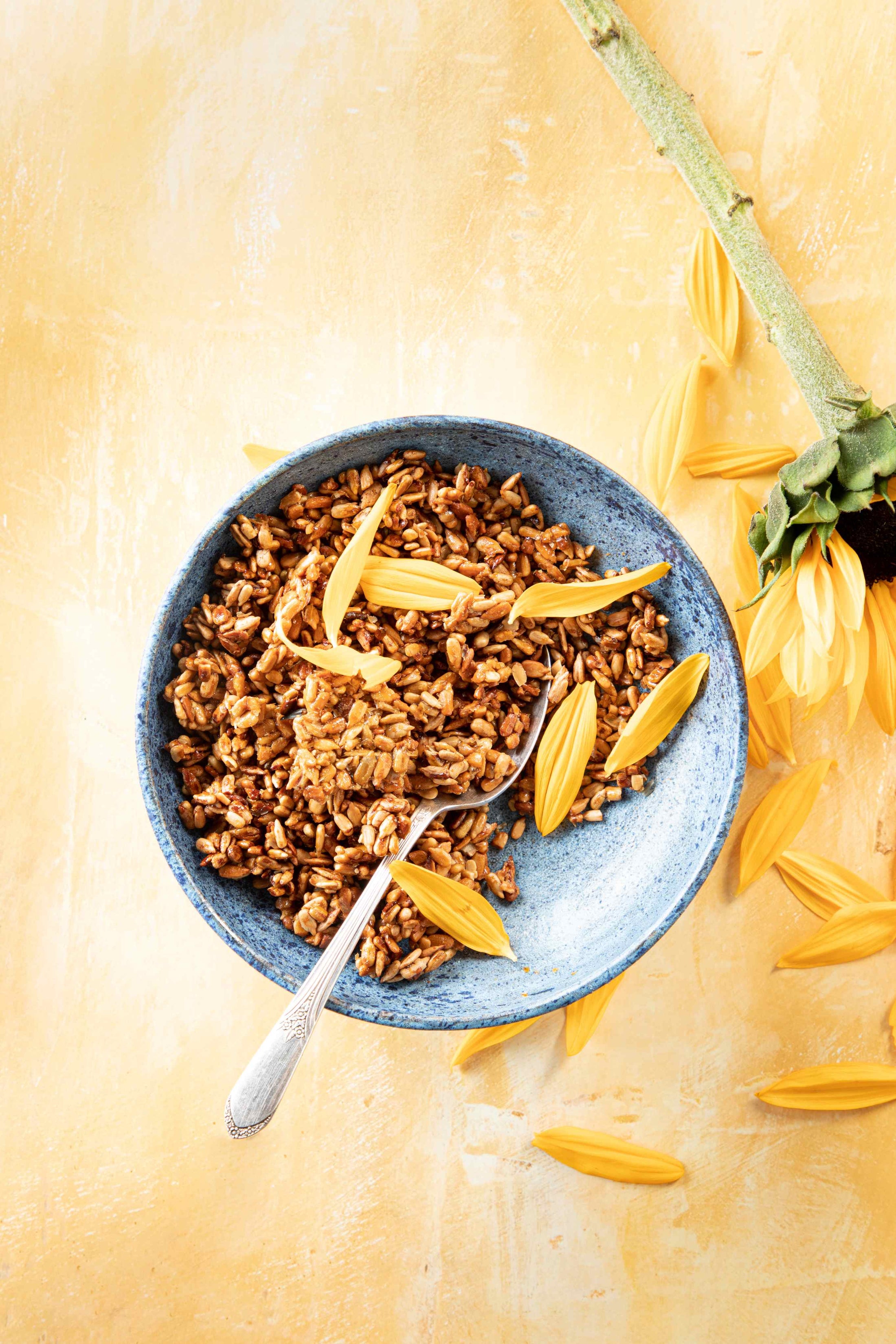 Candied Sunflower Seed Snack – Savannah Bee Company