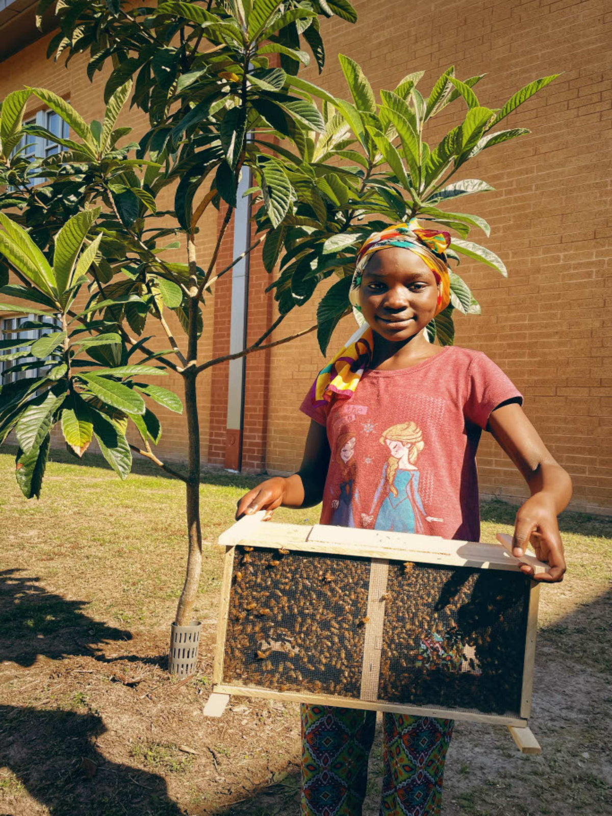 Bee Cause Project – Savannah Bee Company