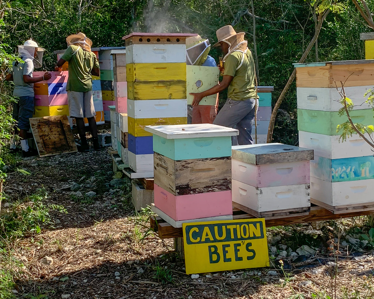 The Exuma Project – Savannah Bee Company