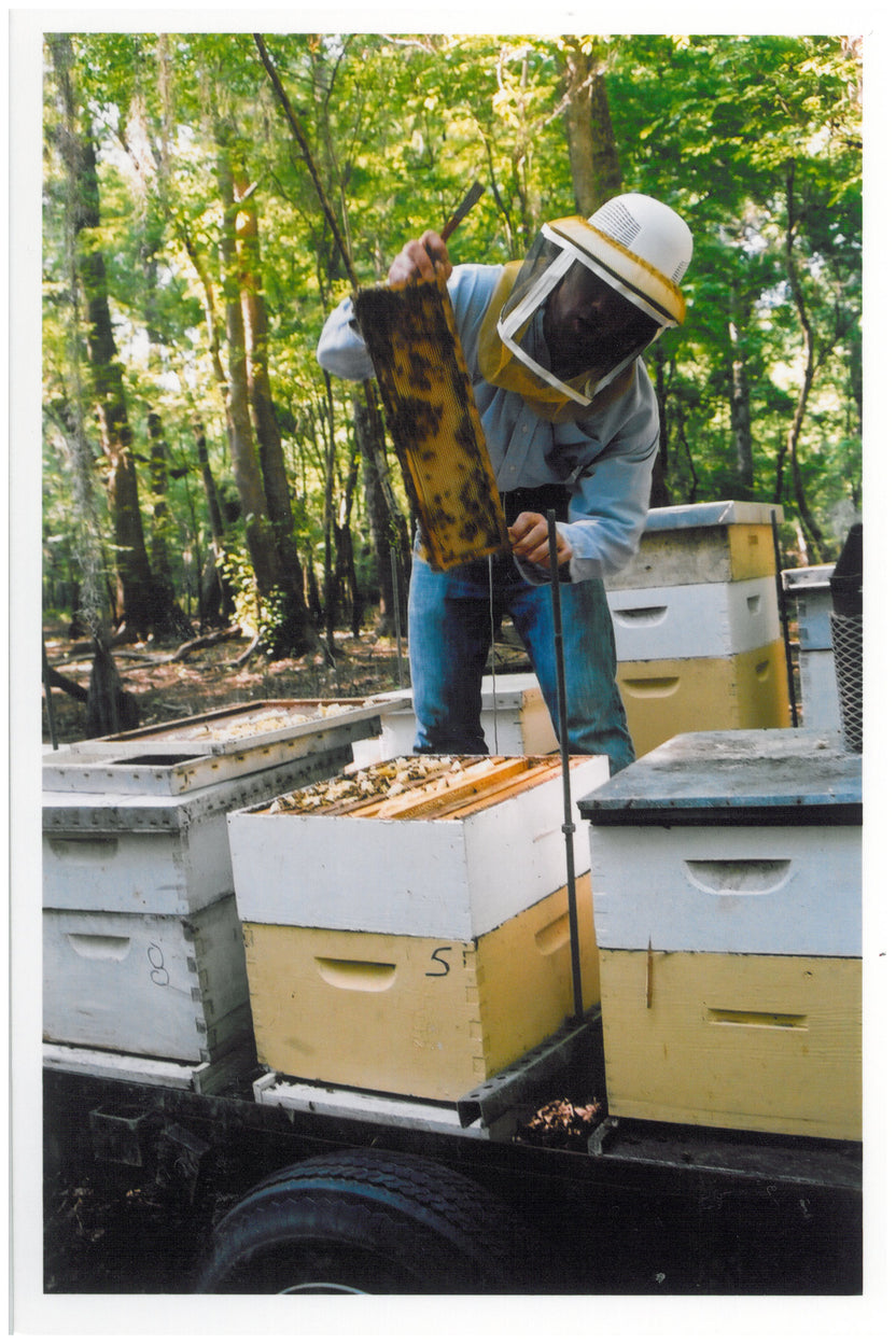 New Mission Page – Savannah Bee Company