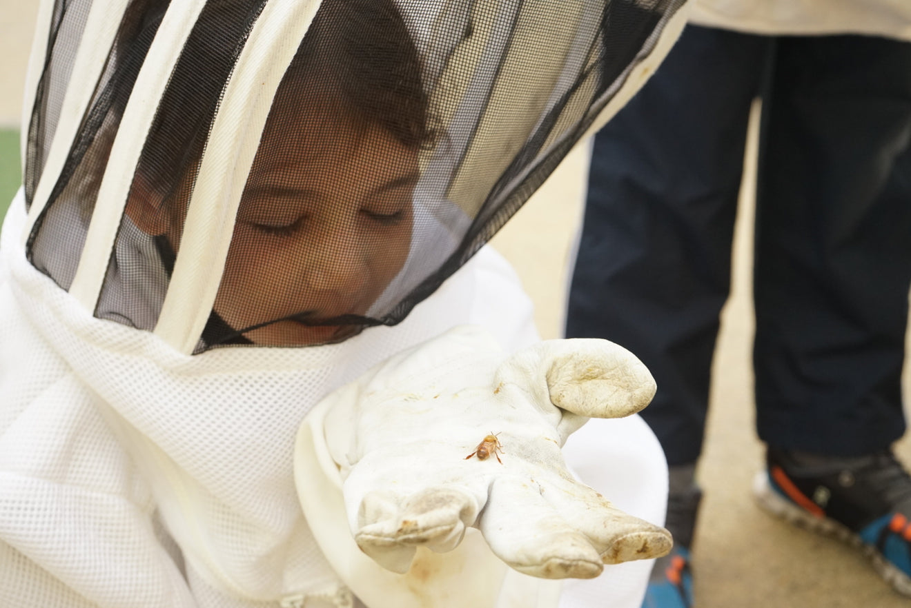 Bee Cause Project – Savannah Bee Company