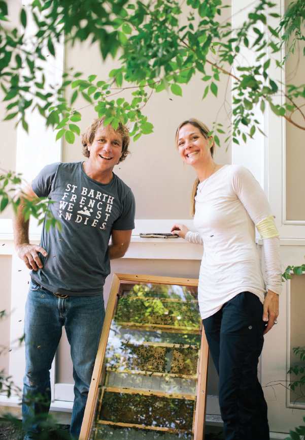 Bee Cause Project – Savannah Bee Company